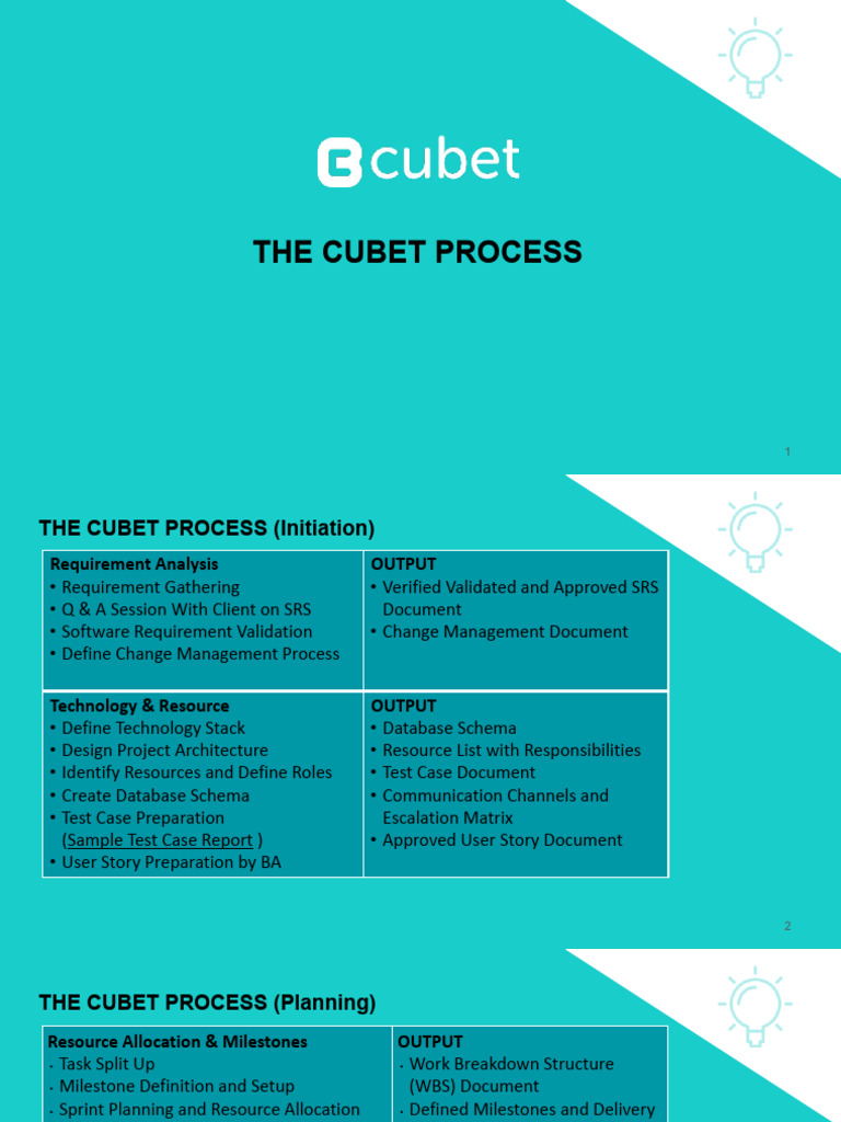 The Cubet Process | PDF | Software Testing | Scrum (Software Development)