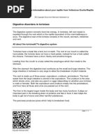 Digestive Disorders in Geckos From Vetlexicon Reptile | PDF | Human ...