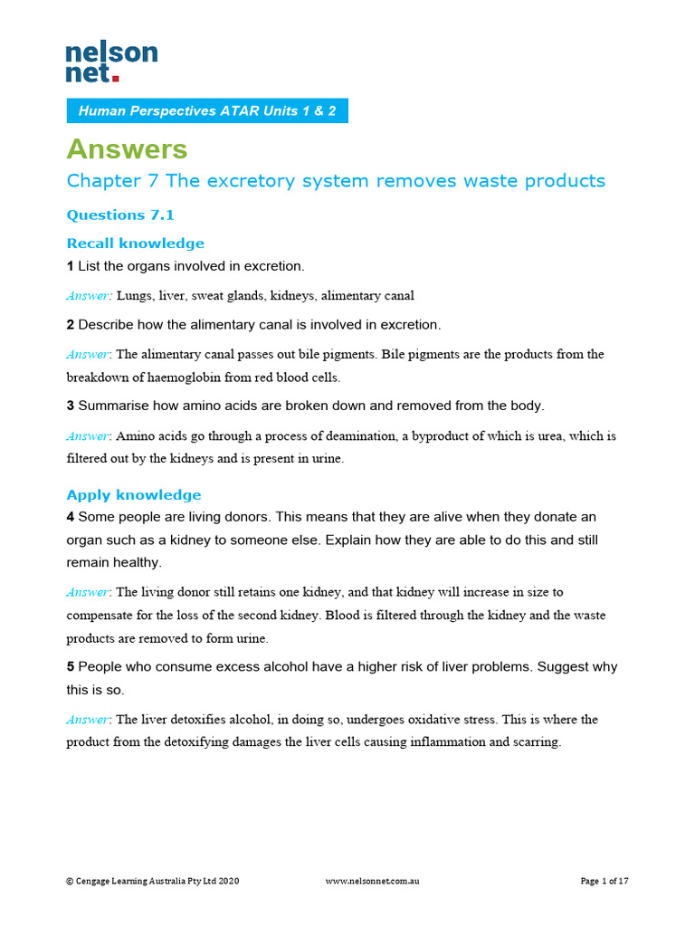 Chapter 7 Answers | PDF | Kidney | Urinary System