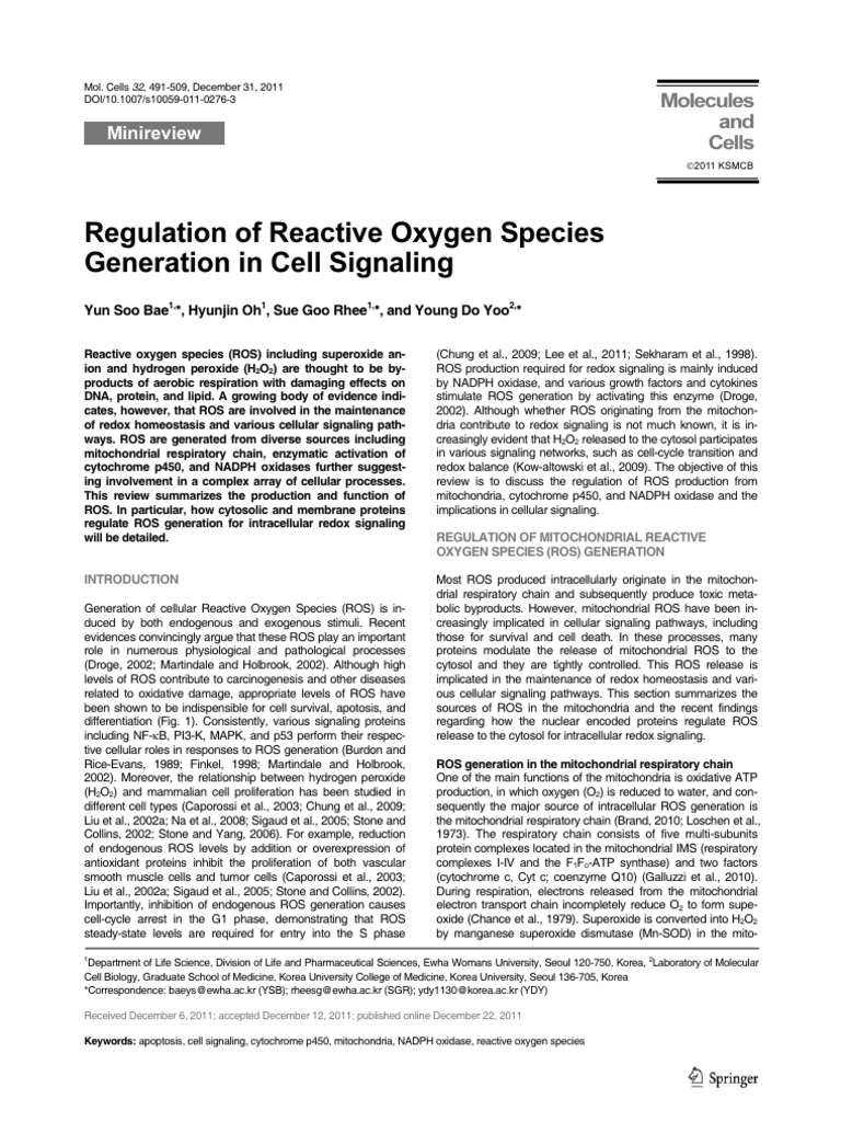 ROS Cell Signalling | PDF | Reactive Oxygen Species | Apoptosis