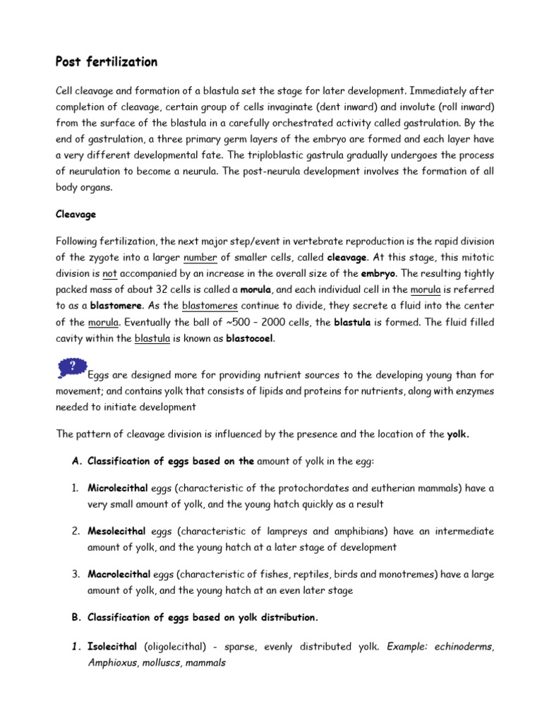 B2603 ANIMAL DEVELOPMENT - Post Fertilization Events | PDF | Embryo | Egg