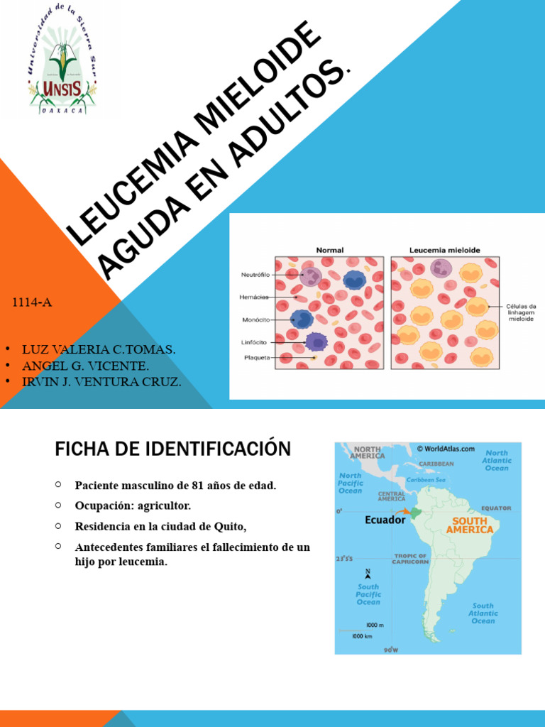 Leucemia Mieloide Aguda en Adultos | PDF | Leucemia | Enfermedades y ...