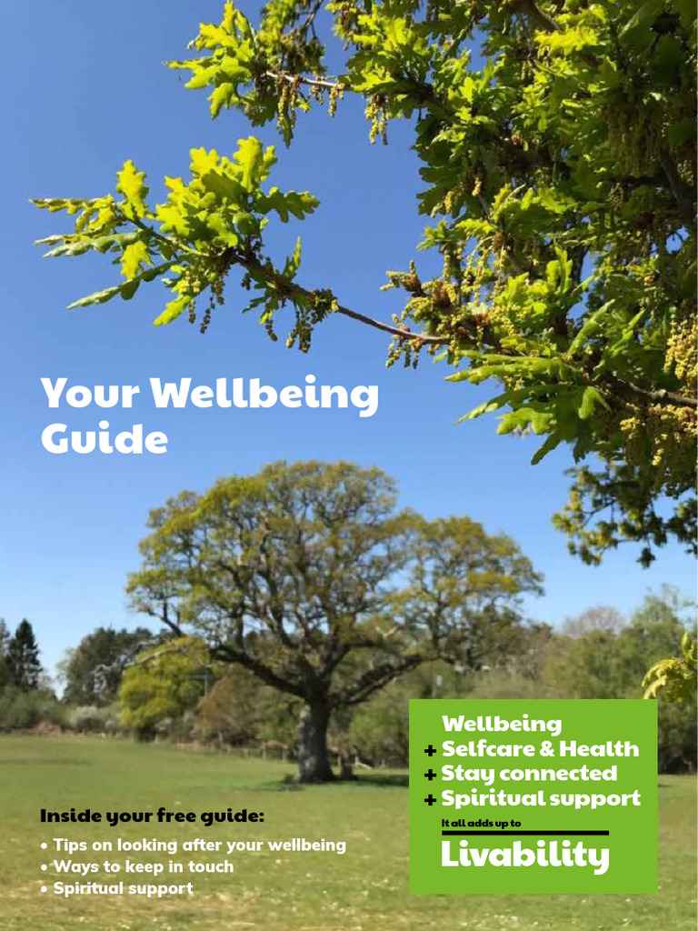 Livability-Wellbeing-Guide | PDF | Quality Of Life | Well Being