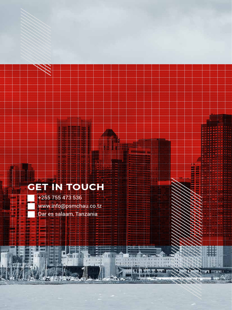 PS Mchau | PDF | Business | Finance & Money Management
