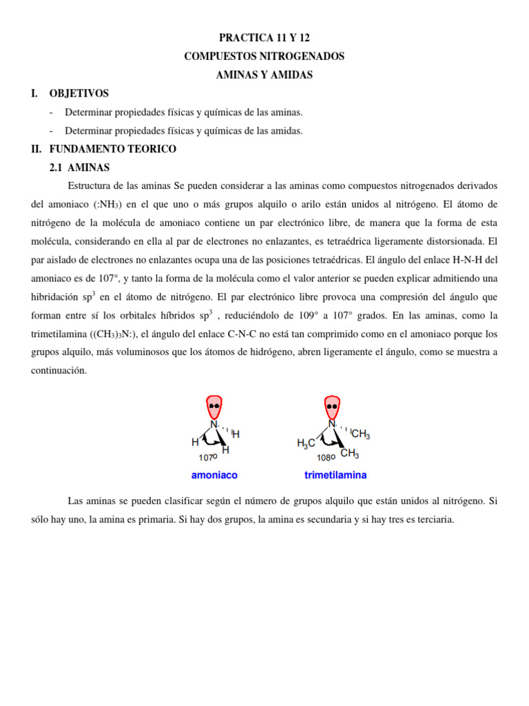 Practica 12 | PDF | Amina | Amida