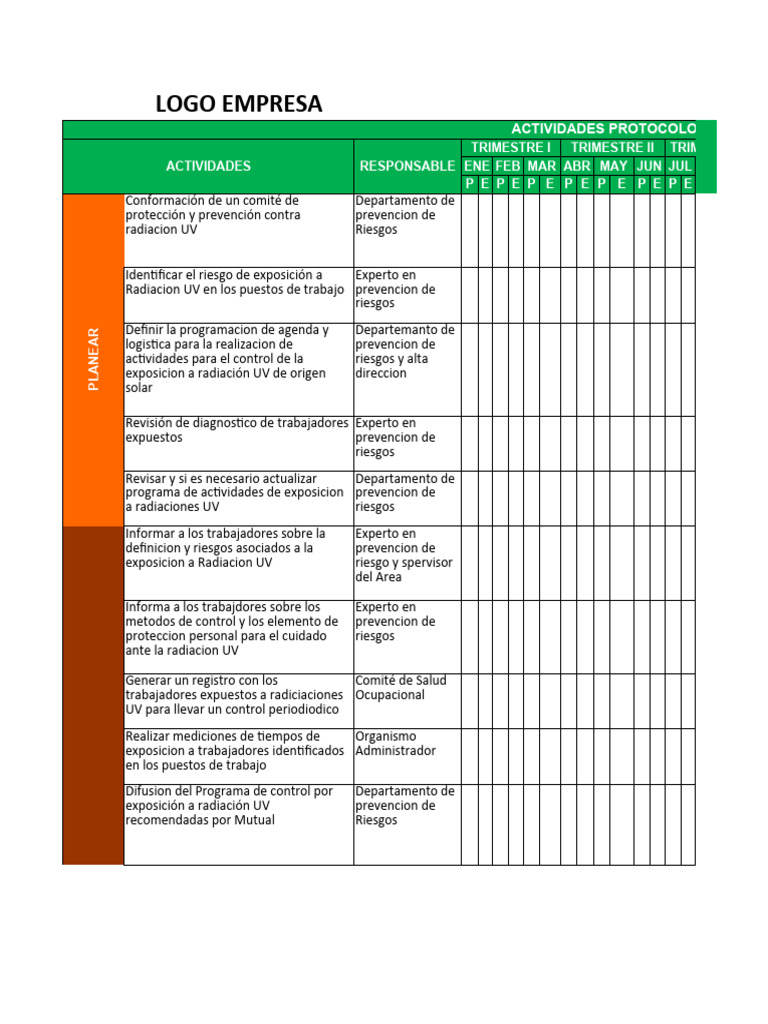 Programa Implementacion Protocolos Minsal Carta Gantt Cronograma | PDF | Seguridad y salud ...