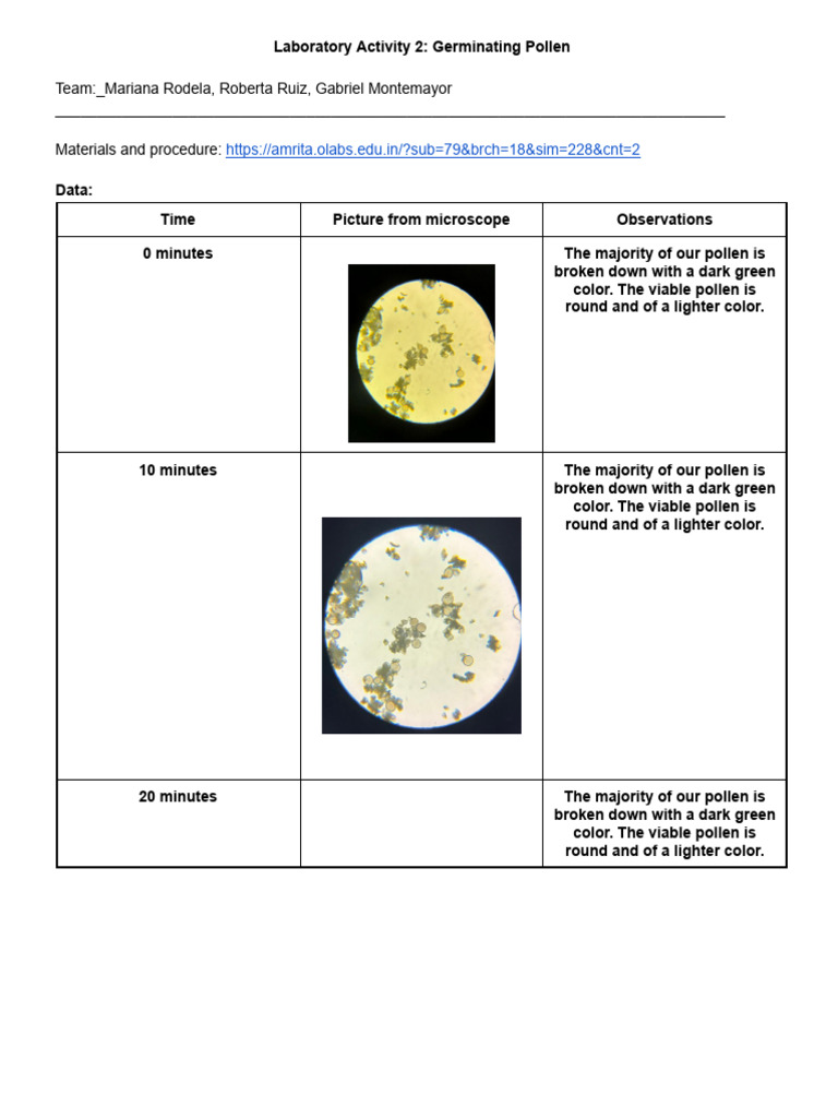 Biology - Laboratory Activity 2 - Germinating Pollen | PDF | Pollen ...
