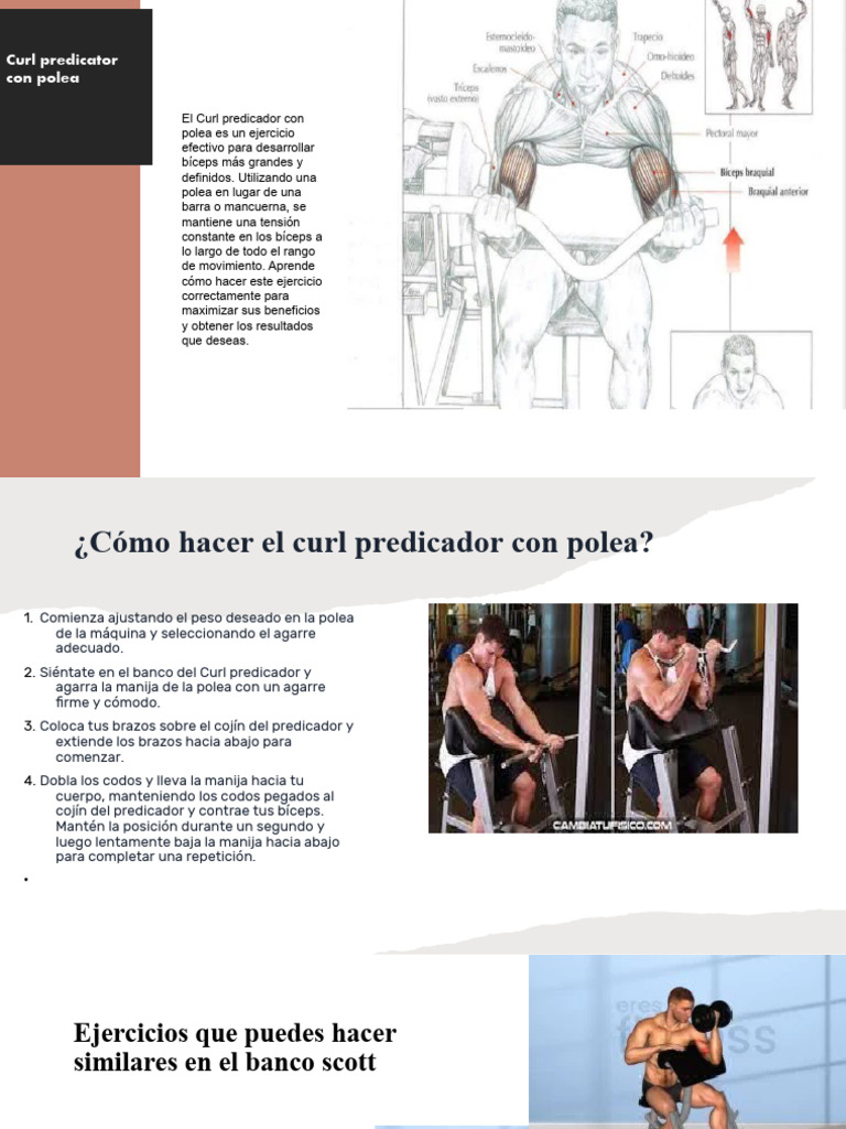 Curl Predicator Con Polea | Descargar gratis PDF | Sistema ...