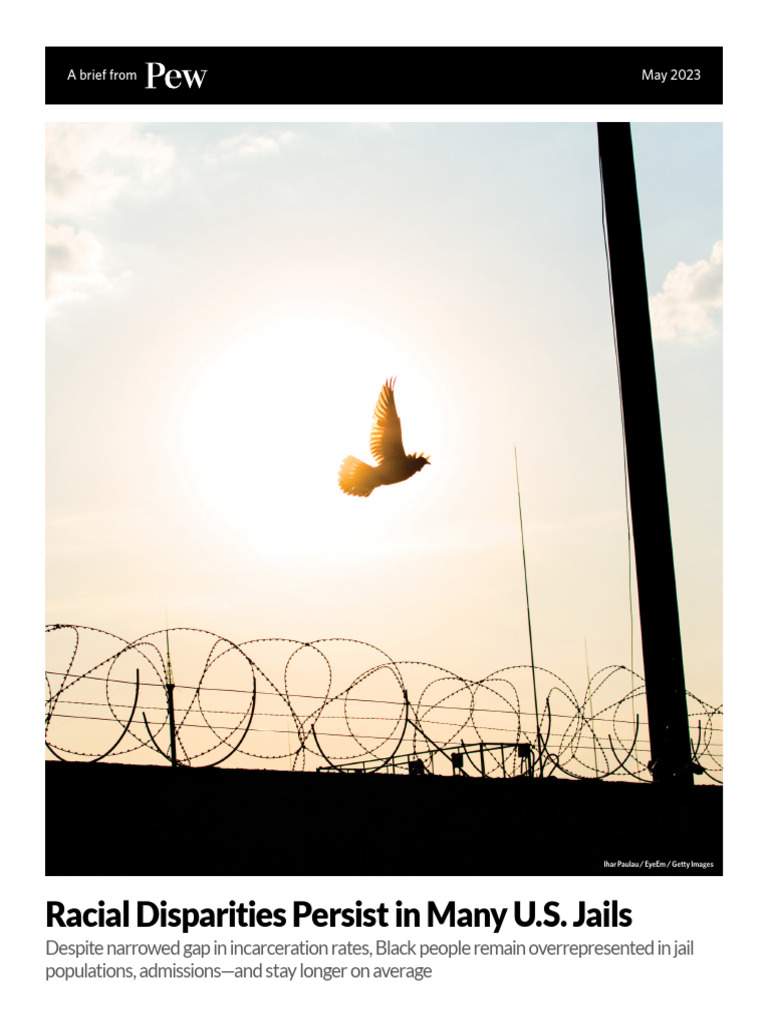 Racial Disparities Persist in Many Us Jails Brief Digital | PDF | Race ...