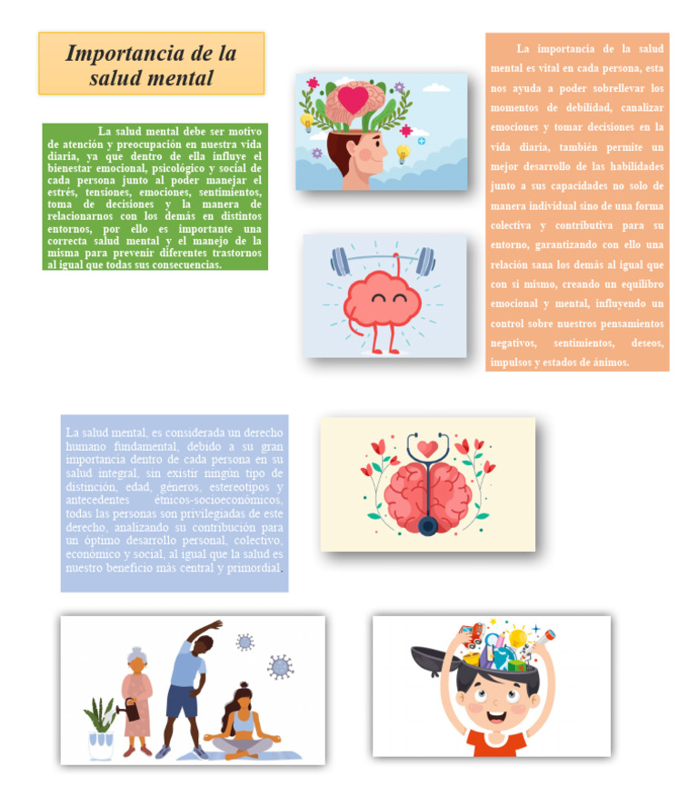 Importancia de La Salud Mental | PDF