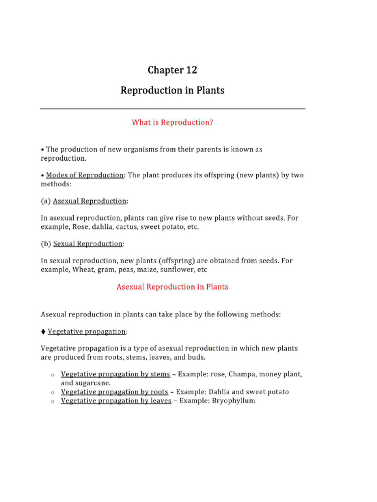 7 Reproduction in Plants Notes | PDF