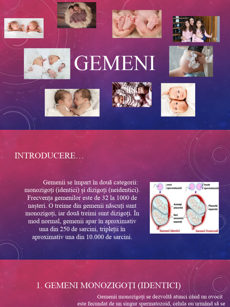 GEMENI | PDF