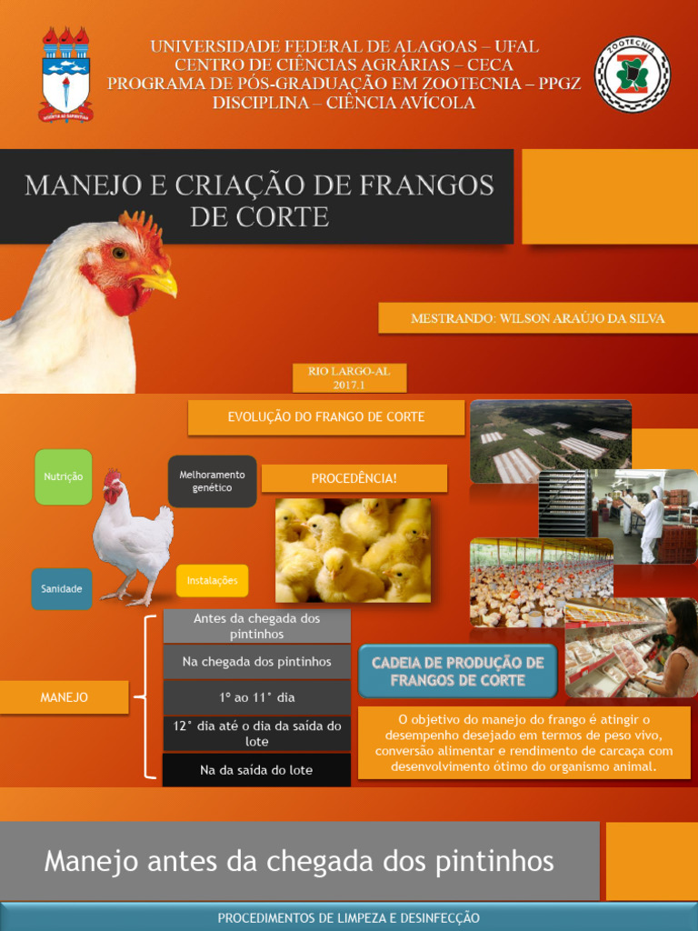 Manejo e Criação de Frangos de Corte (Apresentação) | PDF ...