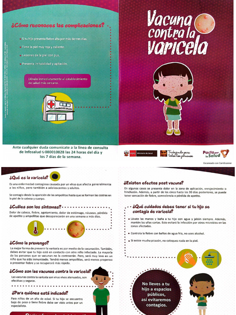 Folleto Varicela | PDF