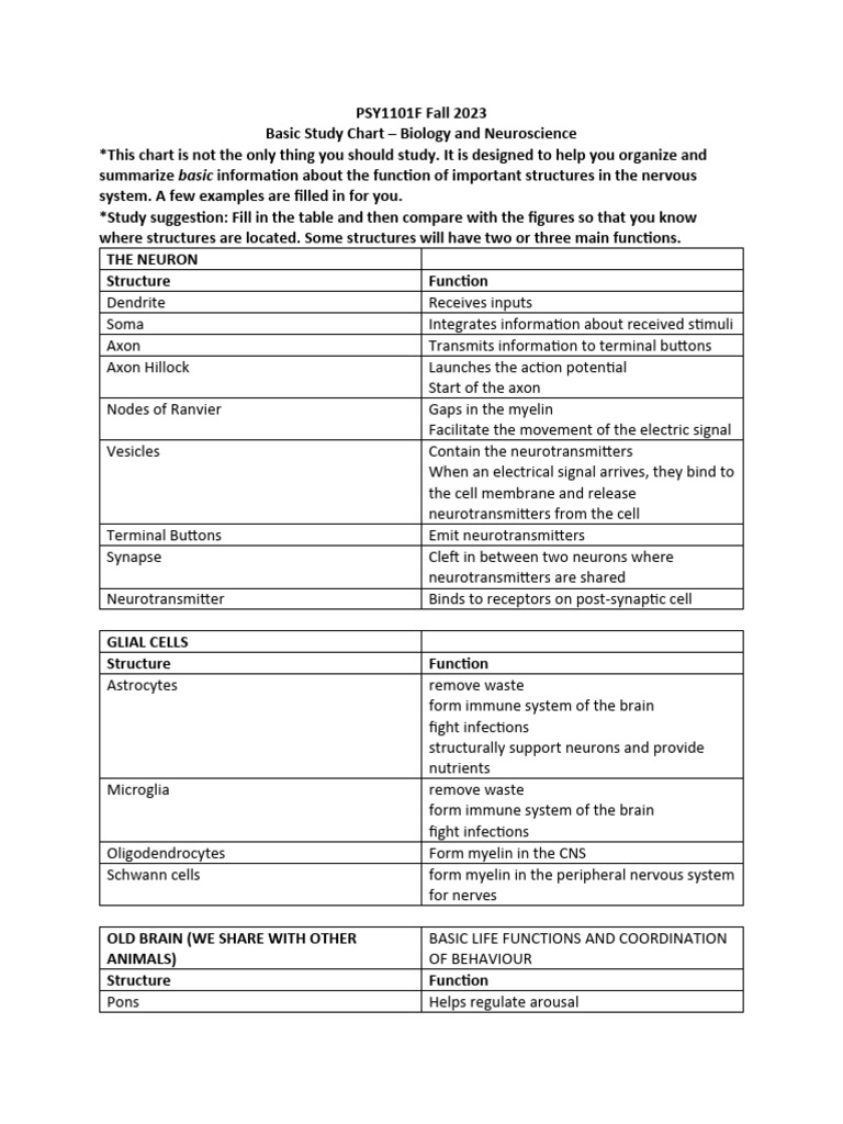 PSY 1101F Brain Practice Chart | PDF | Neuron | Axon PSY 1101F Brain Practice Chart | PDF | Neuron | Axon