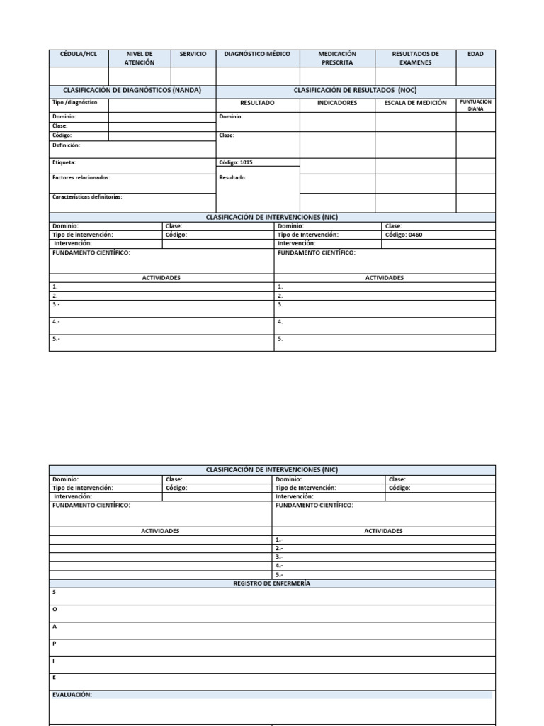Formato Pae | PDF | Medicina | Medicina CLINICA