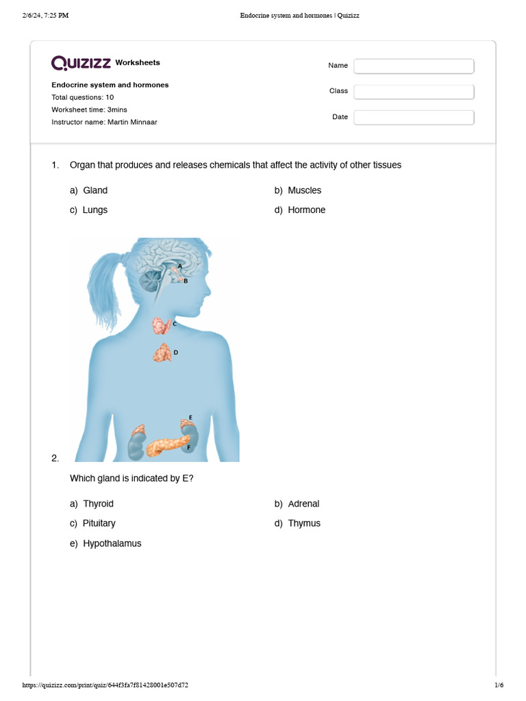 Endocrine System and Hormones - Quizizz | PDF | Endocrine System ...