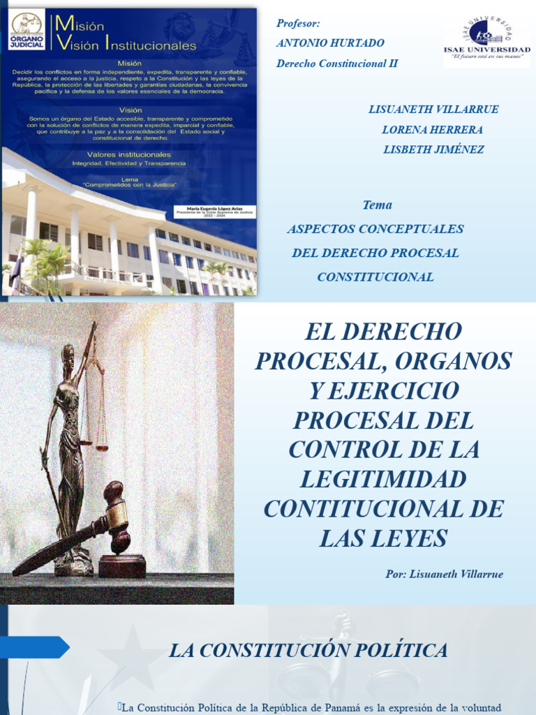 Derecho Procesal Constitucional | PDF