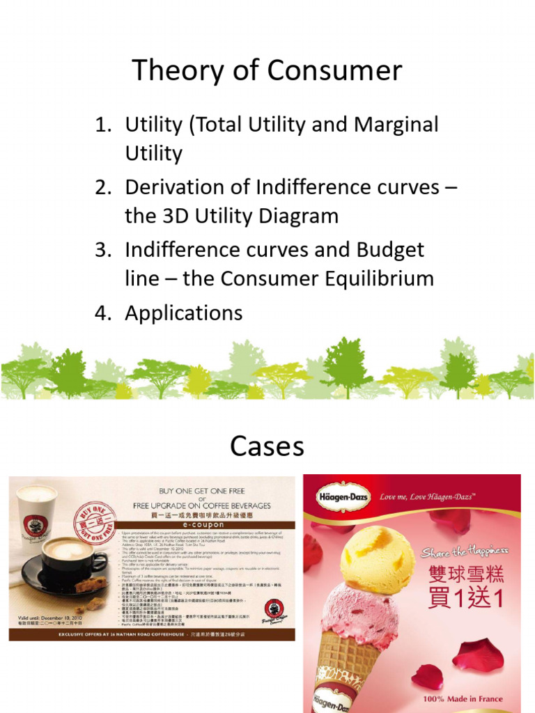 Micro Theory of Consumer | PDF | Utility | Demand