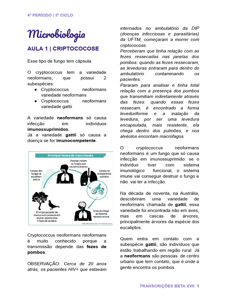 Criptococose: Transmissão e Infecções | PDF | Líquido cefalorraquidiano ...