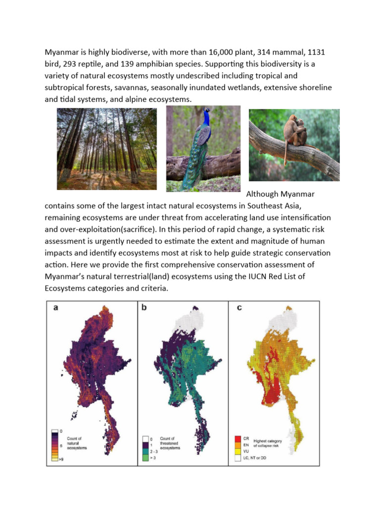 Ecosystem of Myanmar ?? | PDF | Ecosystem | Forests