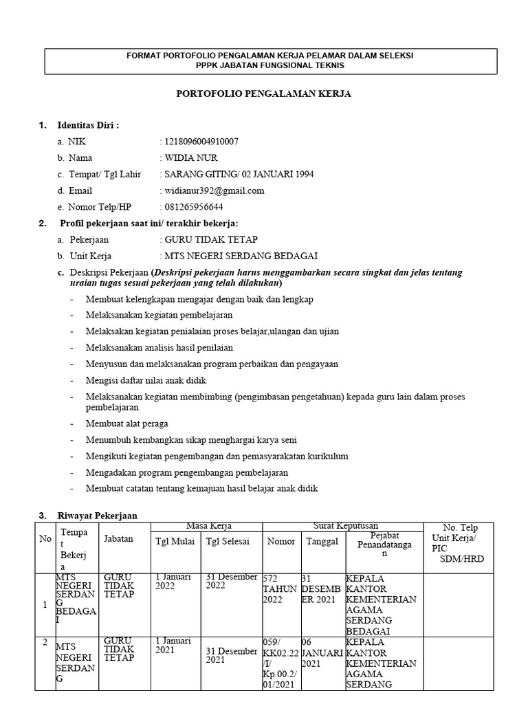 Portofolio Pengalaman Kerja PPPK | PDF