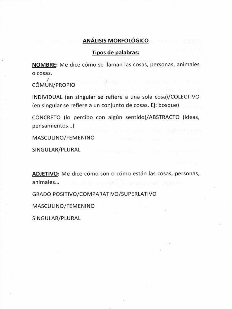 Análisis Morfológico | PDF