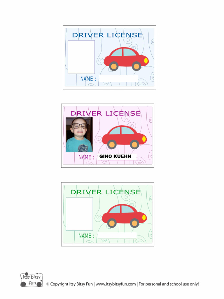 Driver License Application Form | PDF