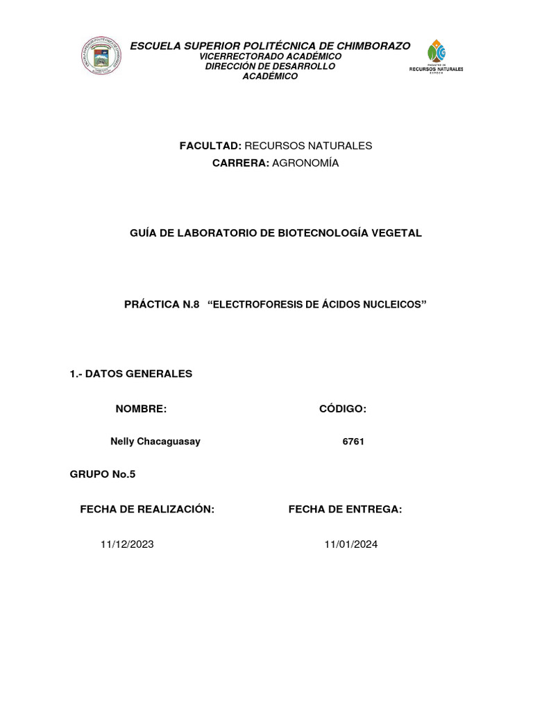 Informe 8. Electroforesis | PDF | Electroforesis | Adn