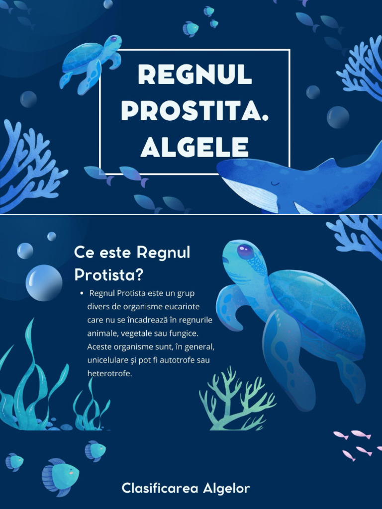 Regnul Protista. Alge | PDF