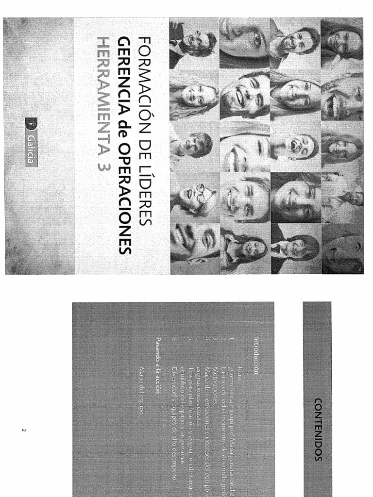 Formacion de Lideres | PDF