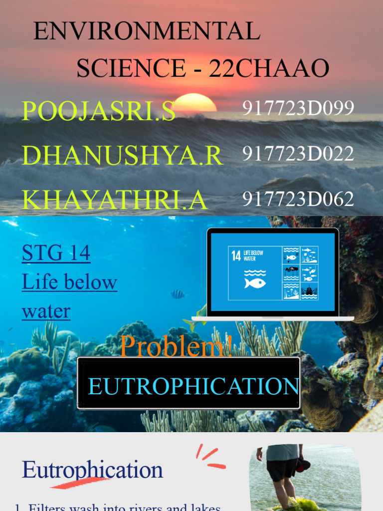 The Ocean Project A Youth Guide To The Ocean Lesson 2.2 - Coastal ...