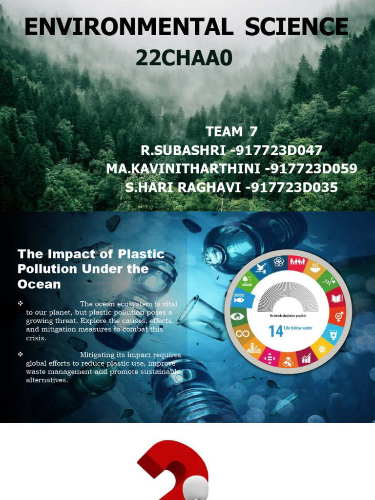 Team 07 Evs PPT Review 2 Document | PDF | Debris | Pollution