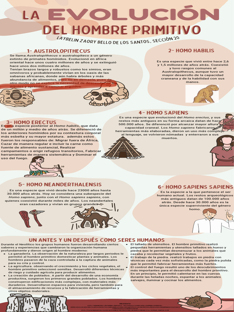 Infografia de La Evolución Del Hombre Primitivo | PDF | Homo | Humano