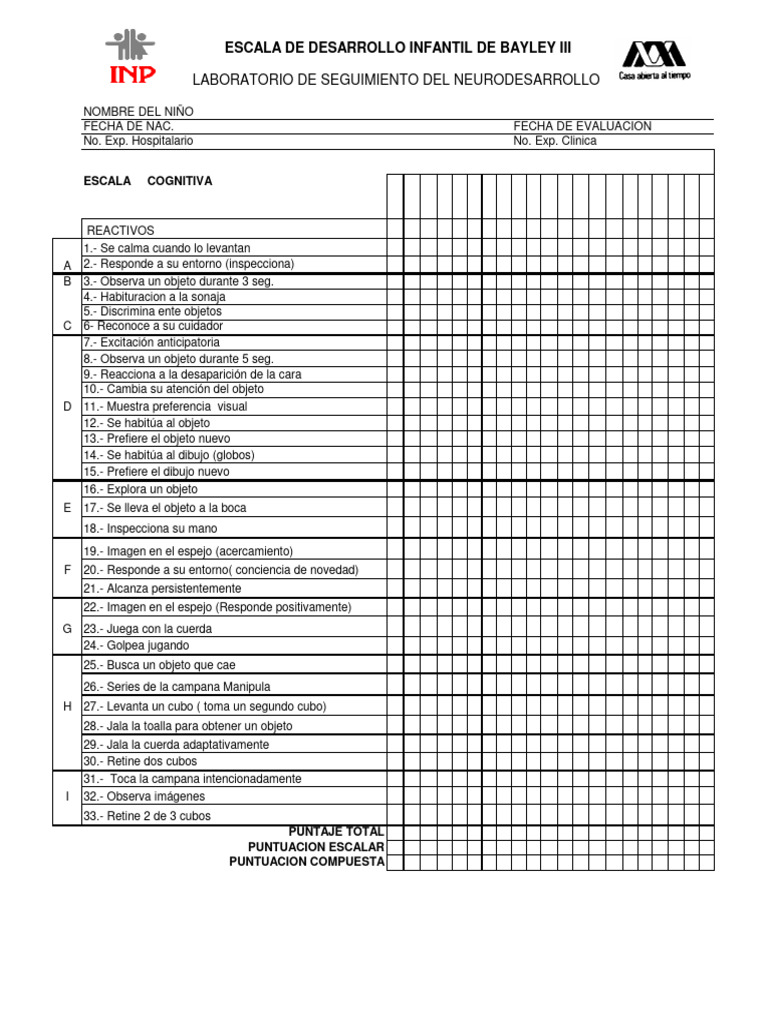 Formato Bayley III | Descargar gratis PDF | Lingüística