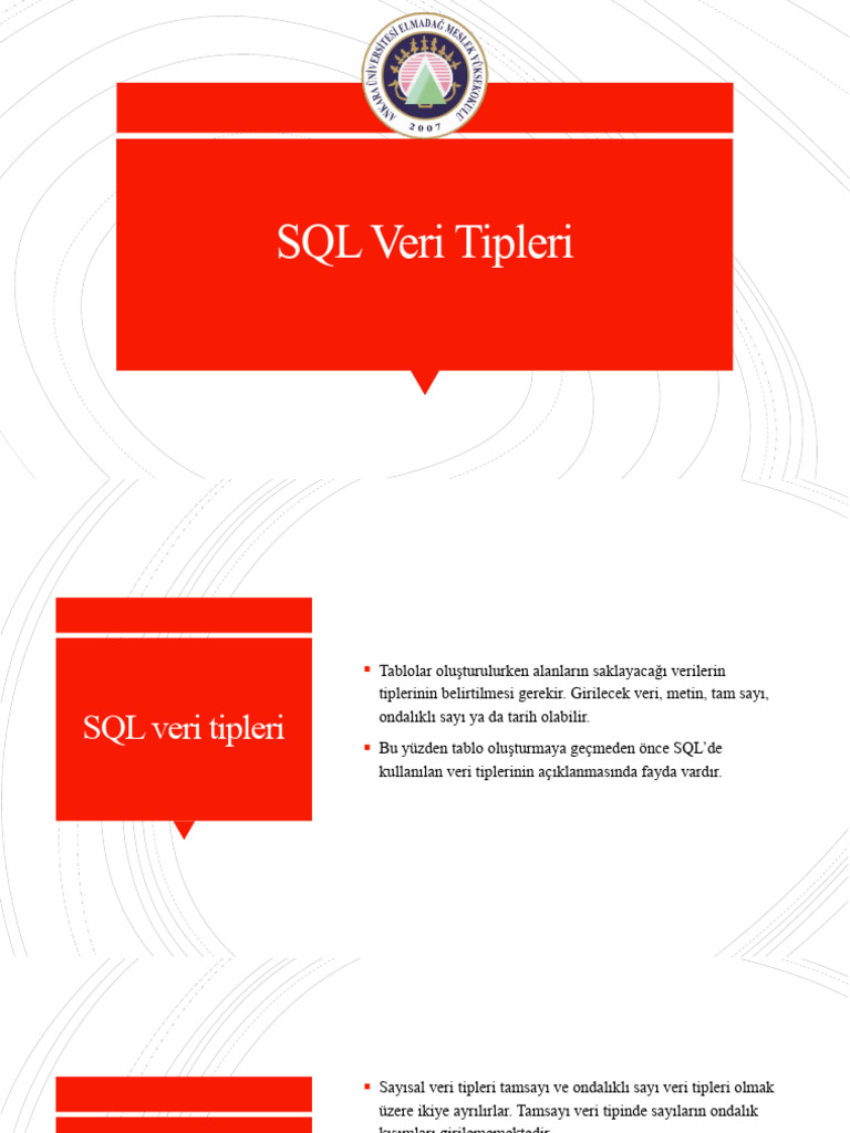 SQL Veri Tipleri | PDF