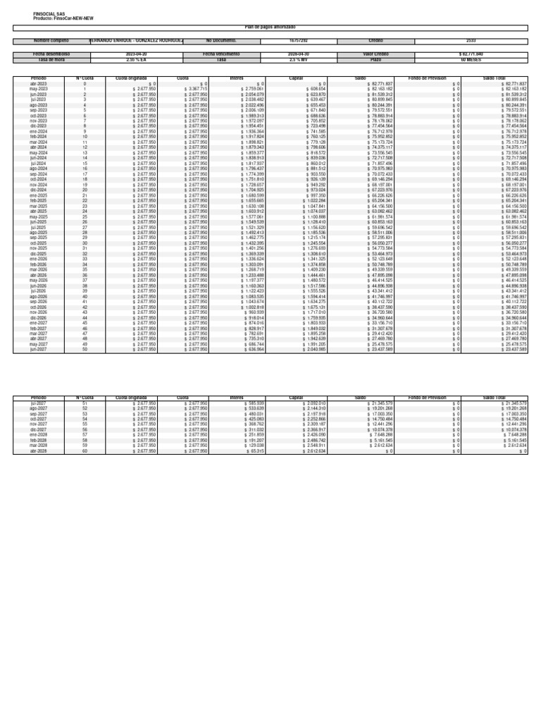 Amortization 2533 | PDF