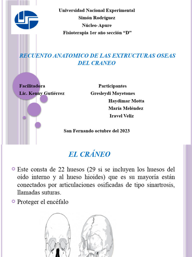 Recuento Anatomico Del Craneo | PDF | Cráneo | Cabeza y cuello humanos