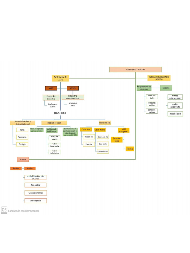 Mapa Conceptual | PDF