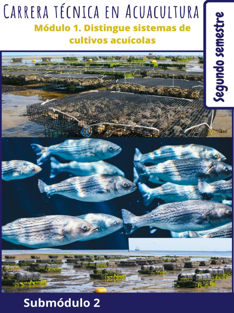 Sistemas de Producción Acuícola | PDF | Agua | Acuicultura