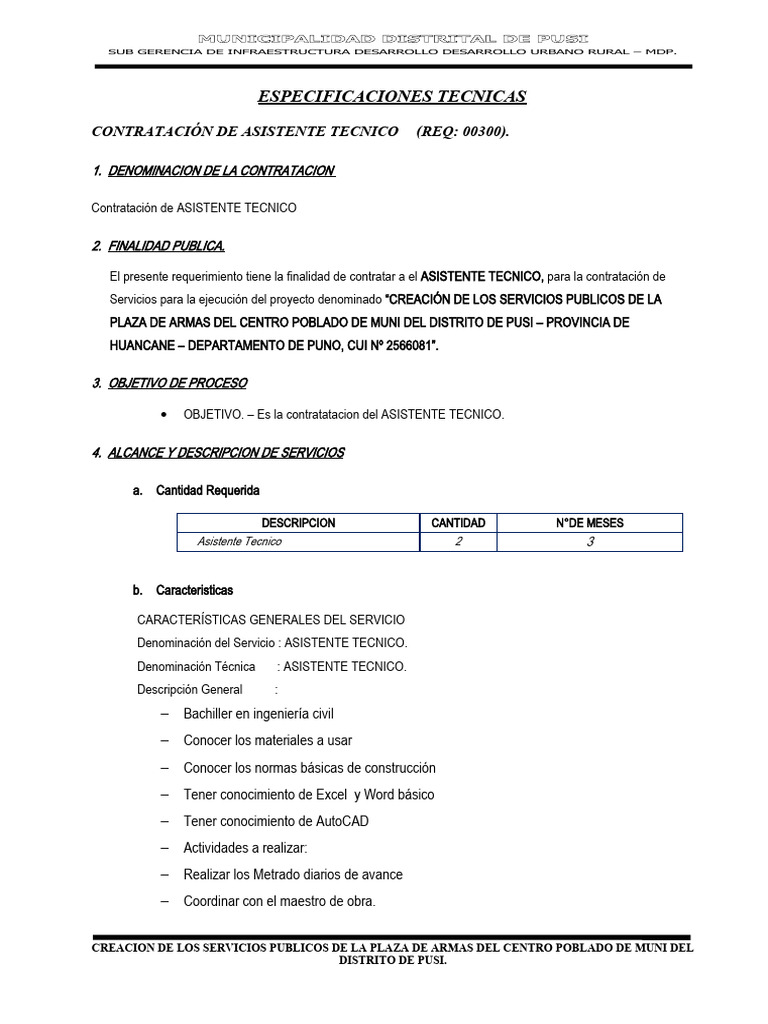 Asistente Tecnico | PDF