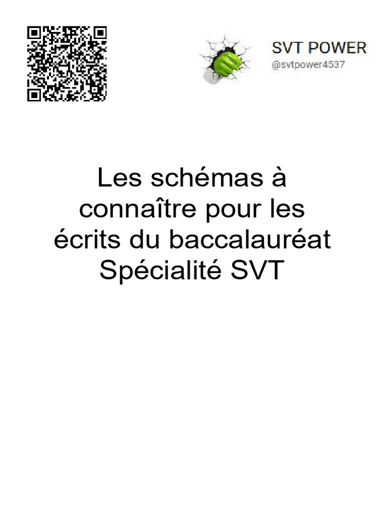 Schémas clés pour le Bac SVT Spécialité | PDF | Nerf | Neurone
