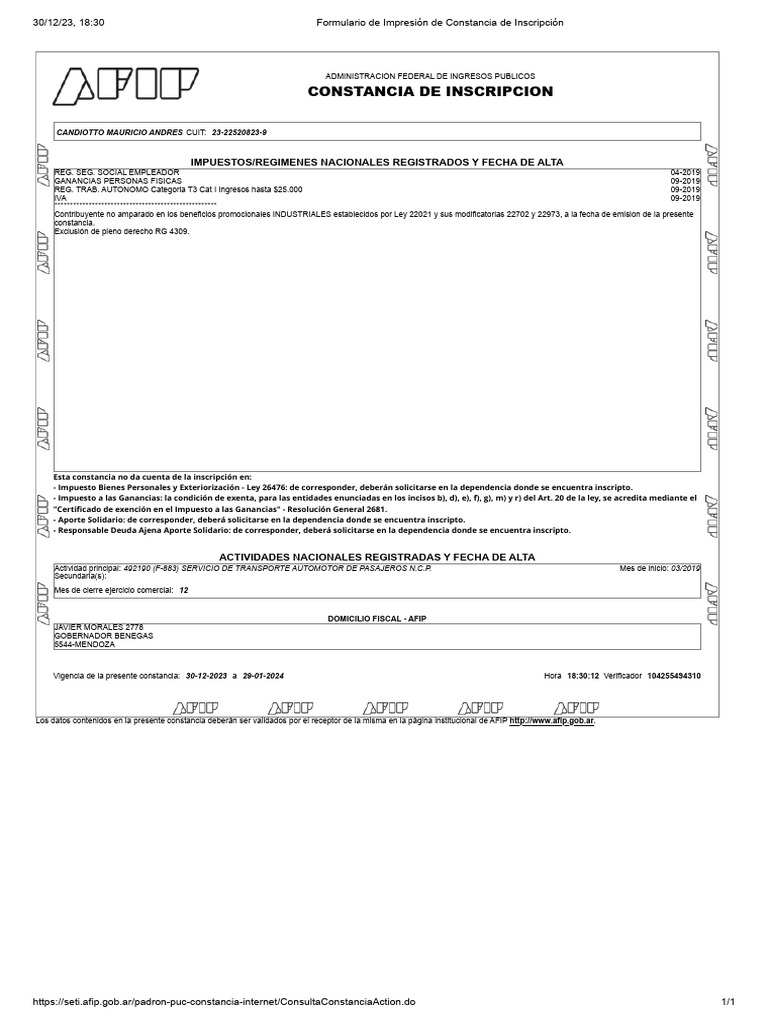 CONSTANCIA INSCRIPCION AFIP 2024 | PDF | Gobierno