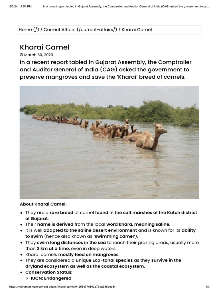 Kharai Camels | PDF