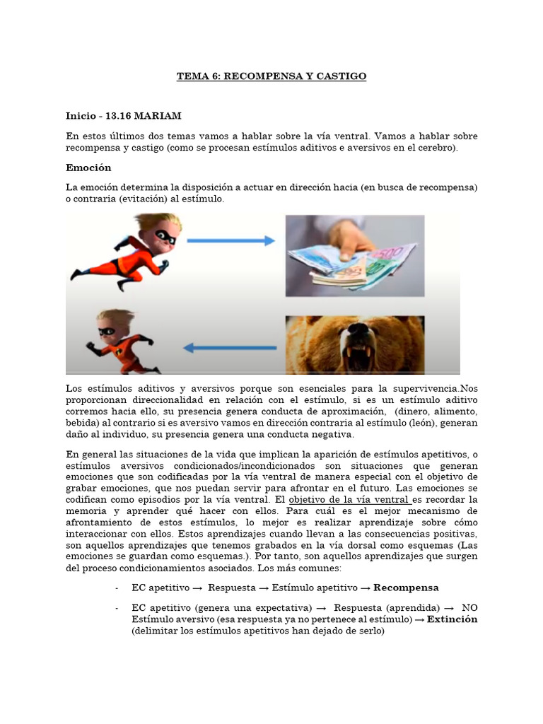 Tema 6 - Recompensa y Castigo | PDF | Las emociones | Amígdala