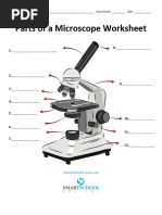 Lab Equipment Crossword Puzzle ANSWER KEY | PDF | Dielectric | Laboratories