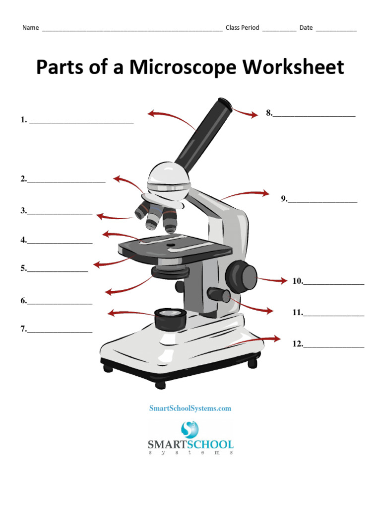 Parts of A Microscope Worksheet Blanks 1 | PDF