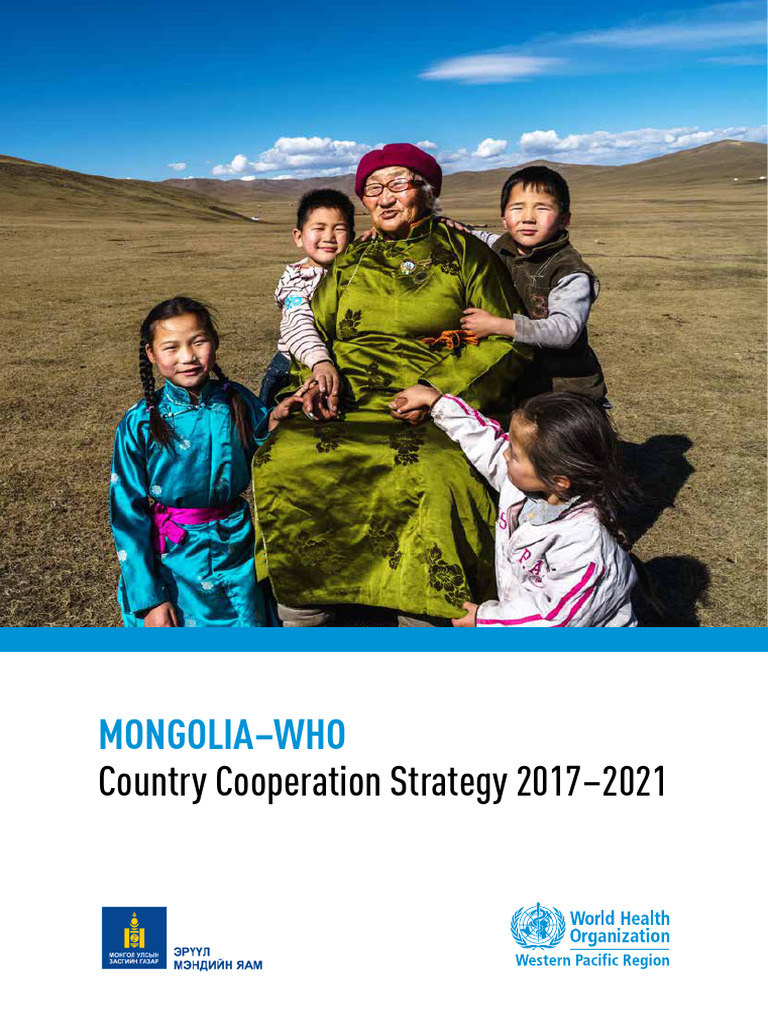 WPRO 2017 DPM 005 Eng | PDF | World Health Organization | Health System