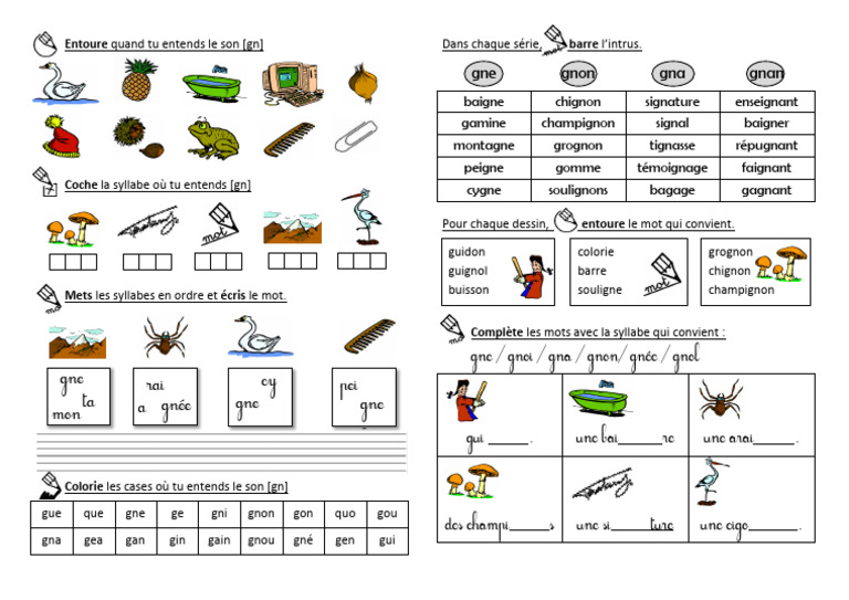 Exercices sur le son [gn] pour CP | PDF