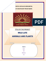 MDP Class 3rd Evs | PDF